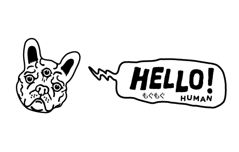 Contact – Hello Human Shop